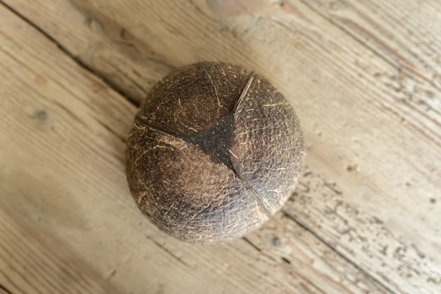 COCOBOWL - new rochini collection - Rochini - finest tabletop